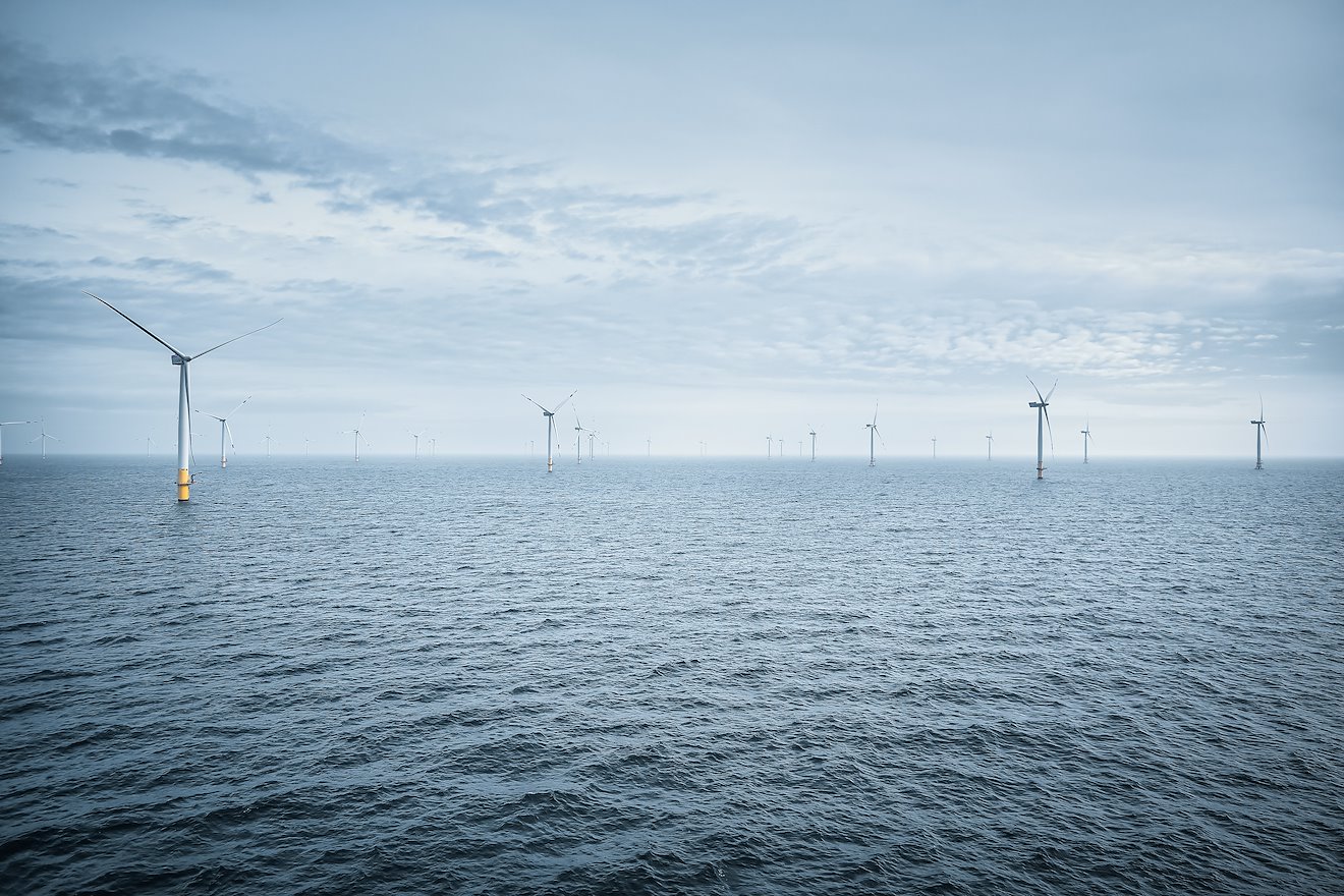 Netztransparenz > Renewable energies and levies > Other levies ...